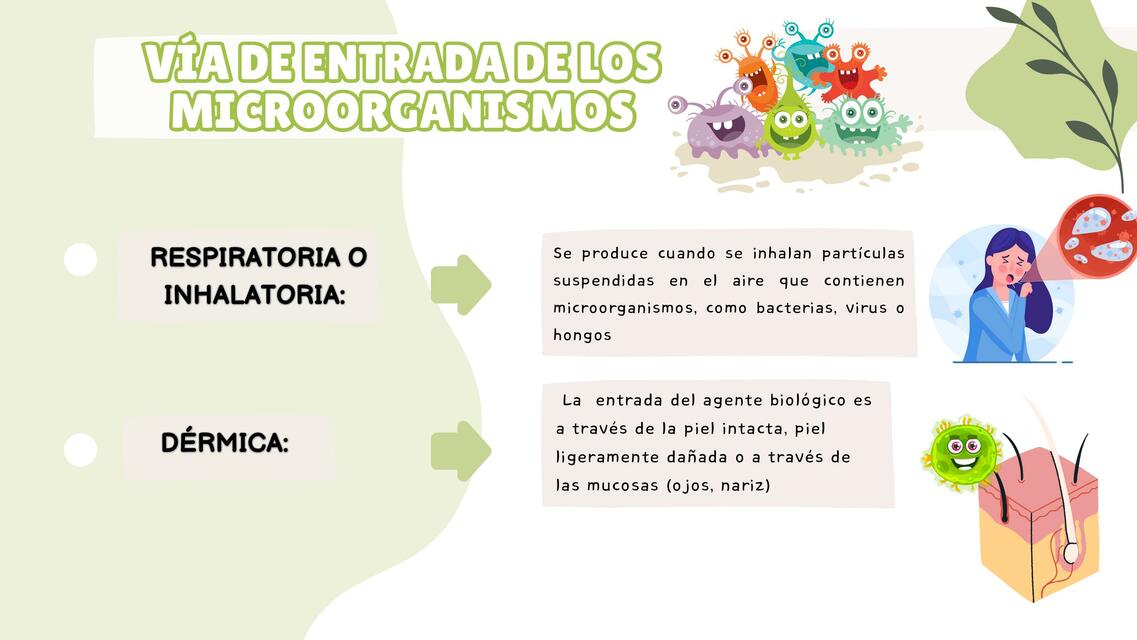Vía de entrada de los microorganismos | nursing.cvc | uDocz