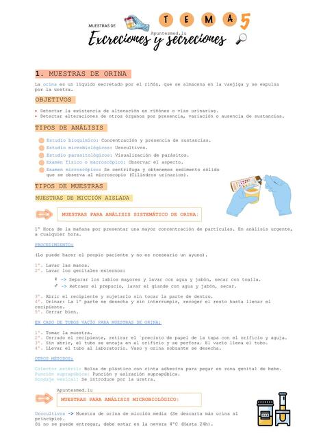 Secreciones y Excreciones | Apuntesmed.lu | uDocz
