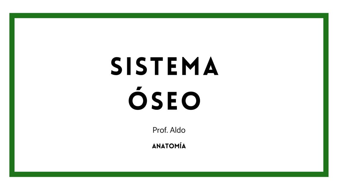 Sistema óseo | Lilisita | uDocz