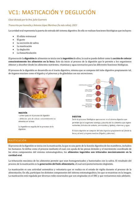 Masticación y Deglución | Francisca Vera | uDocz