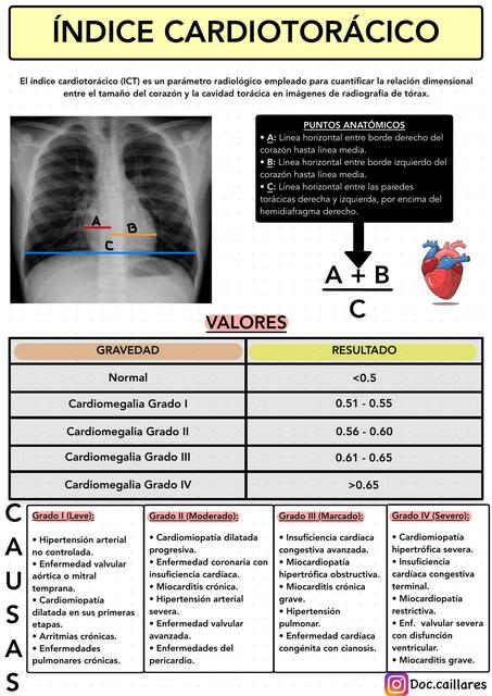 ÍNDICE CARDIOTORÁCICO | Dr. Boris Moises Caillares Montaño | uDocz ÍNDICE CARDIOTORÁCICO | Dr. Boris Moises Caillares Montaño | uDocz
