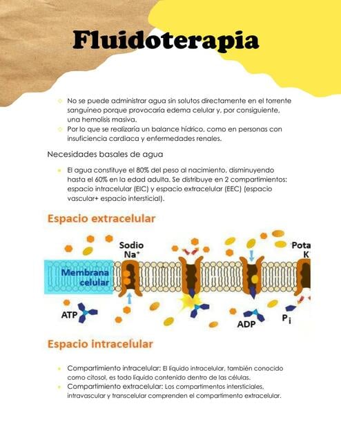 Fluidoterapia | Mariana Barrios | uDocz