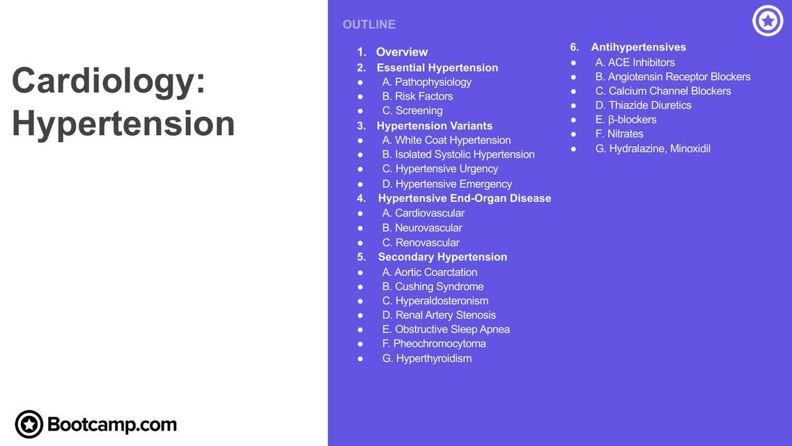 Bootcamp com Cardiology 1 | Lia | uDocz
