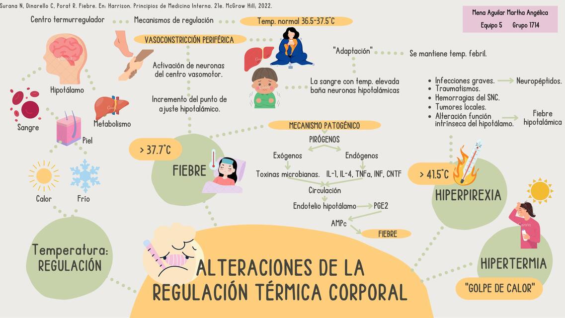 Alteraciones de la regulación térmica corporal | Angélica Mena | uDocz