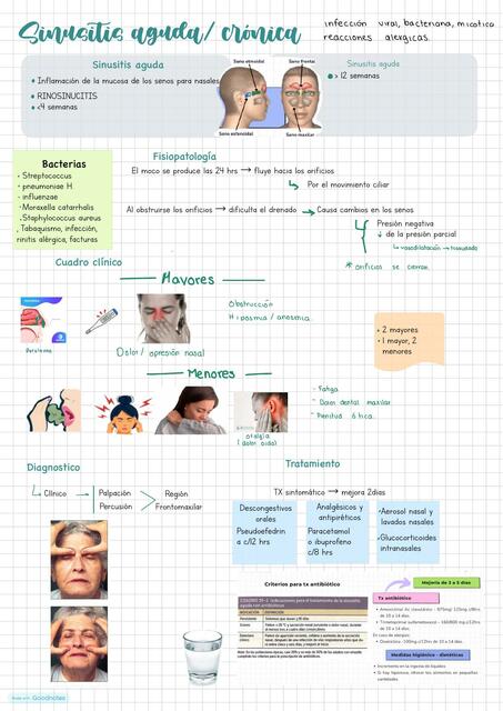 Sinusitis aguda y crónica | Joseline Carrreola | uDocz