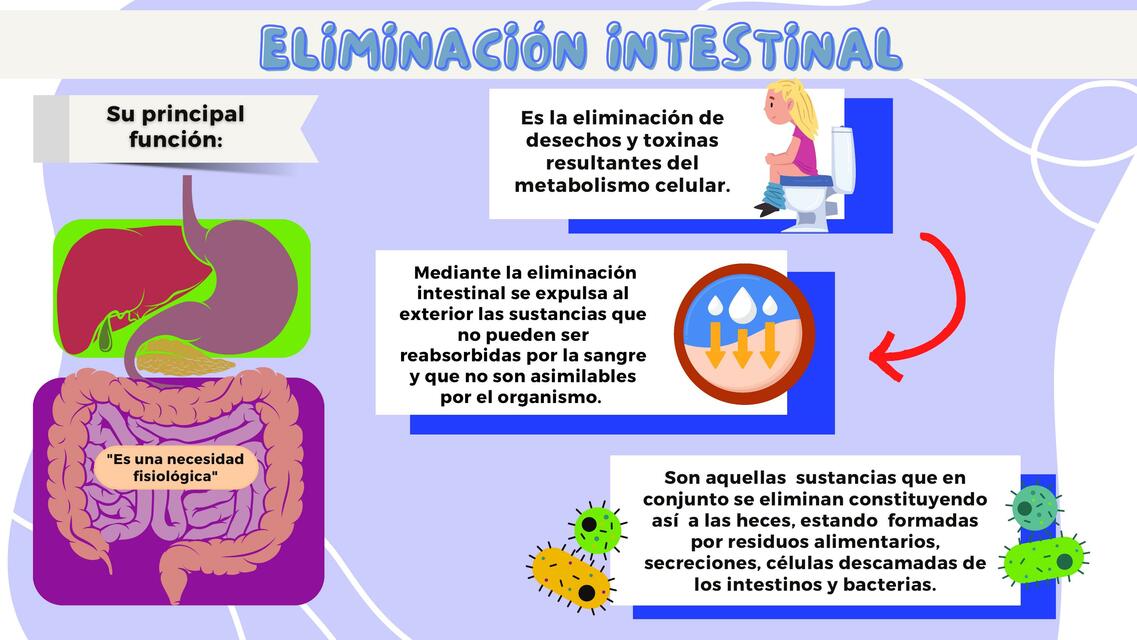 ¿Qué es la Eliminación intestinal? | nursing.cvc | uDocz