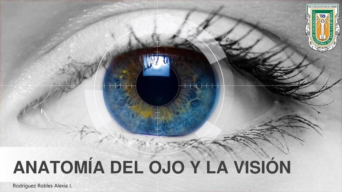 Anatomía del ojo y la Visión | Alexia Rodriguez | uDocz