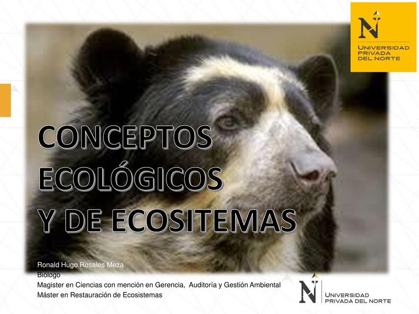 Conceptos Ecológicos y de Ecosistemas | samsstudy | uDocz