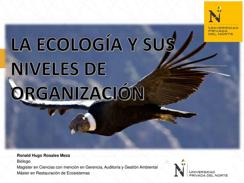 Ecología y sus niveles | samsstudy | uDocz