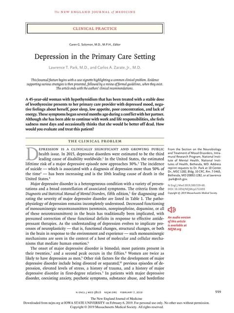 Depression in the Primary Care Setting | Karen Pérez | uDocz