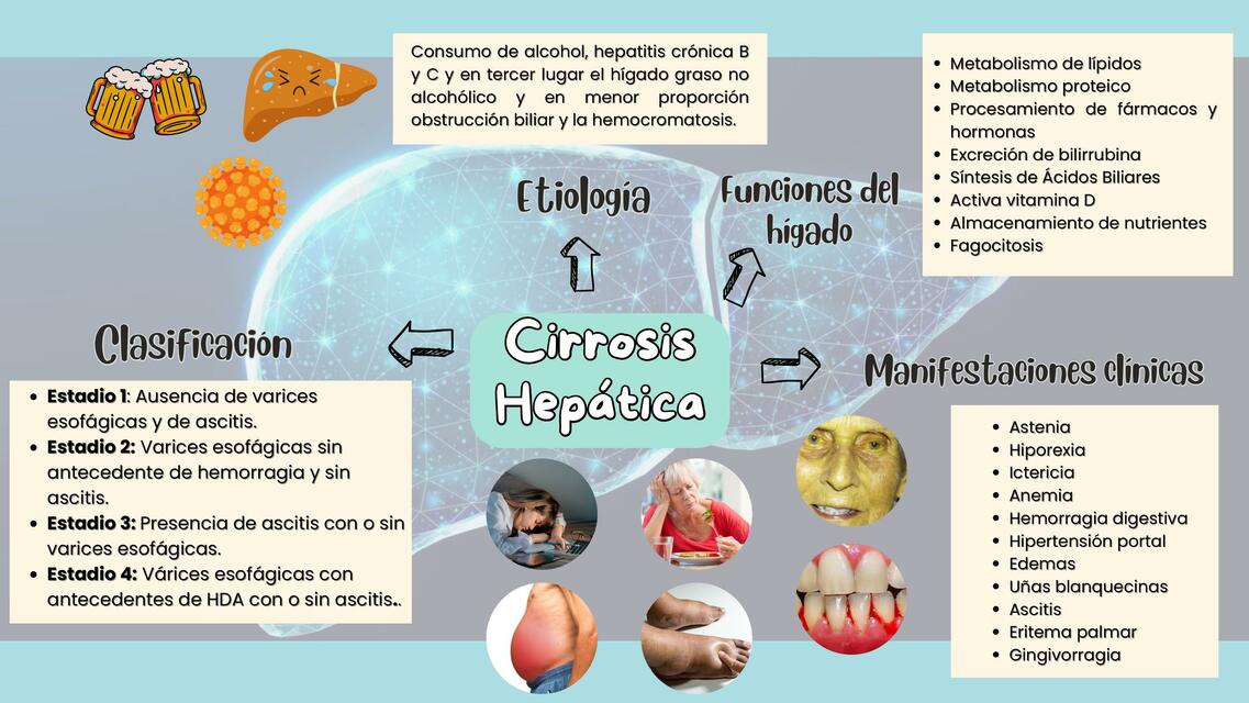 Cirrosis hepática | nursing.cvc | uDocz