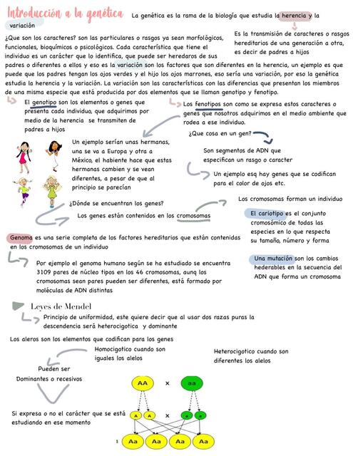 Introducción a la genética | B | uDocz