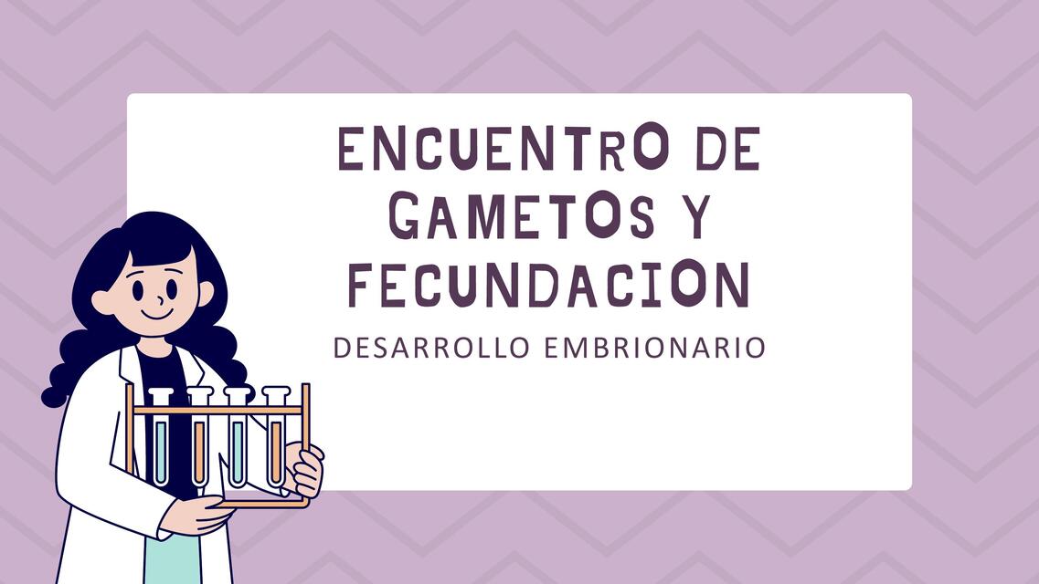Encuentro de gametos y fecundación | Cecilia Guadalupe Sánchez Ocampo ...