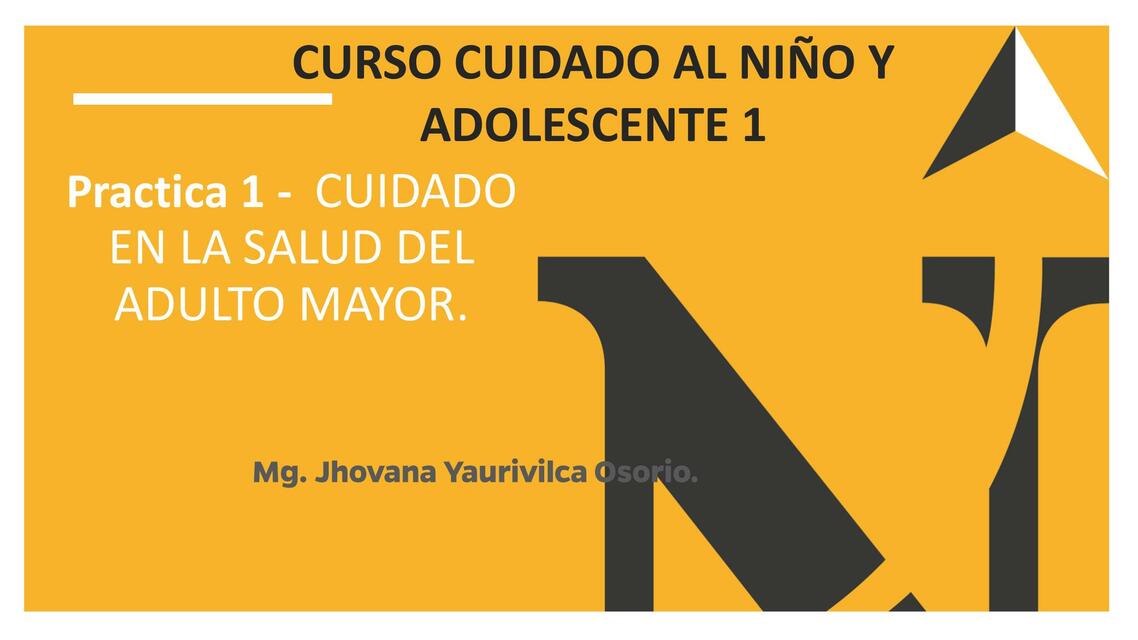 Cuidado en el Adulto Mayor | Betsy Ttito Ysmodes | uDocz