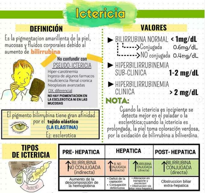 Ictericia | YUDOC.ORG | uDocz