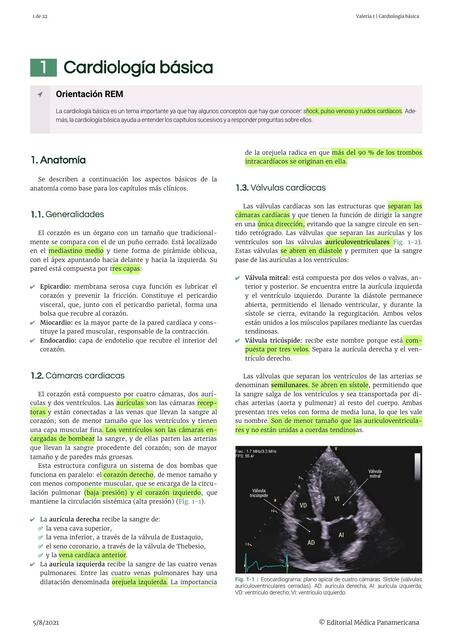 Cardiología básica | ValeES25 | uDocz