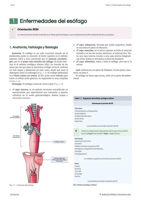 Enfermedades del esófago | ValeES25 | uDocz