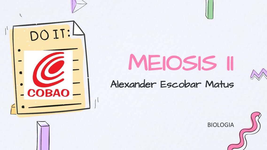 Meiosis II | Mario Study | uDocz