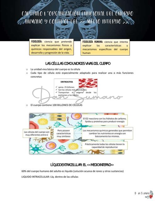 Resumen Capítulo 1 - Organización funcional del cuerpo humano y control del medio interno ...