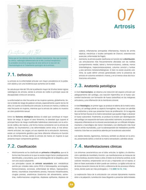 Artrosis | Full ciencia | uDocz