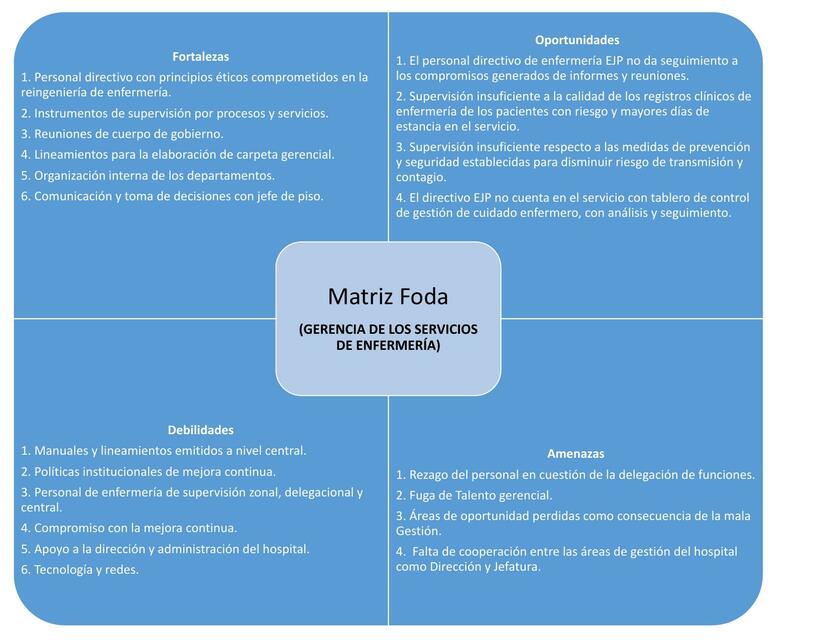 Matriz Foda Hospital Medicina Clinica Programa De Telesalud Para