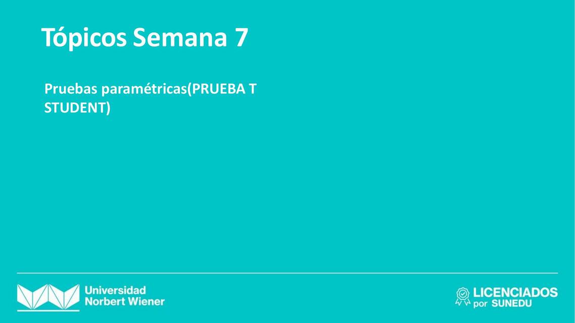 Pruebas Paramétricas | Erica AF | uDocz