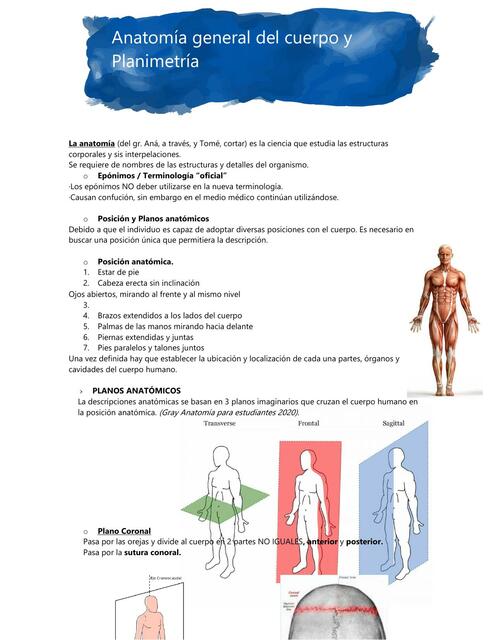 Anatomía General del Cuerpo y Planimetría | María José Andrade | uDocz