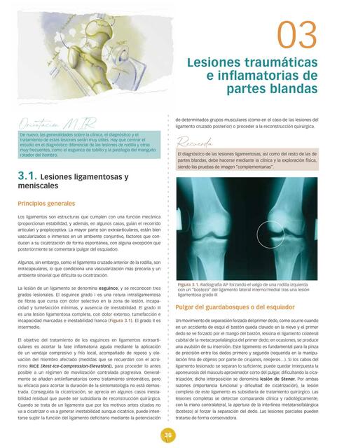 Lesiones traumáticas e inflamatorias de partes bla | Full ciencia | uDocz