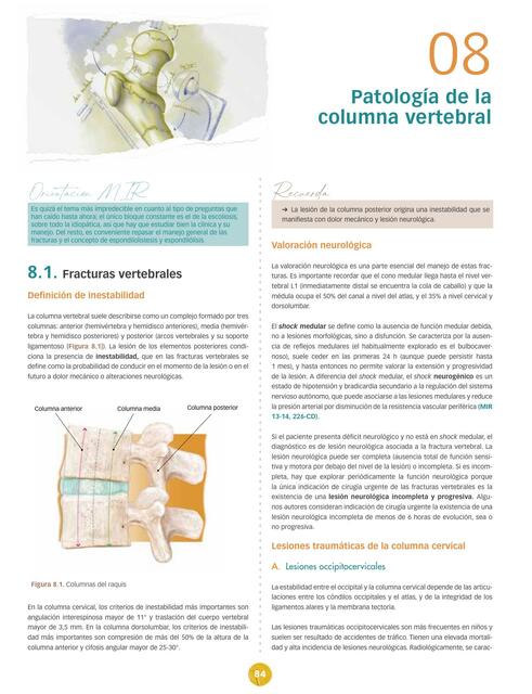 Patología de la columna vertebral | Full ciencia | uDocz