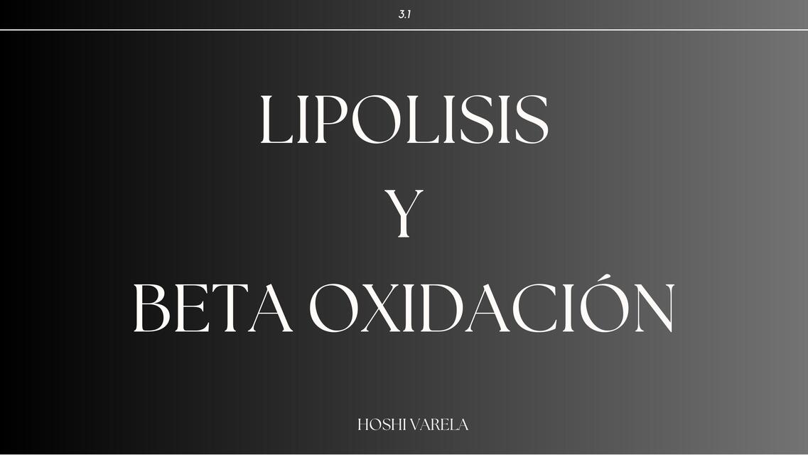 Lipolisis y Beta oxidación | Hoshi Varela | uDocz