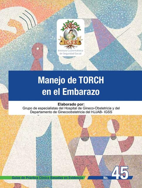 Manejo de torch | Fernando | uDocz