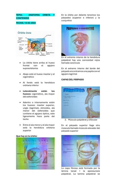 Anatomía orbita y contenido | SERGIO ALEXANDER | uDocz