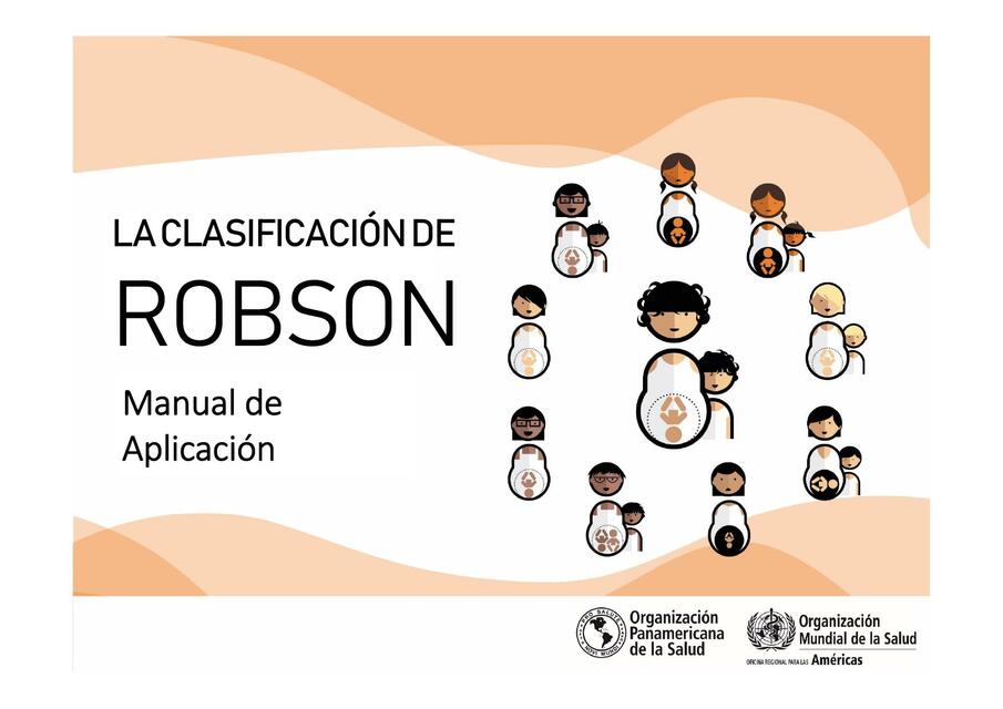 Manual aplicación clasificación Robson | Fernando | uDocz