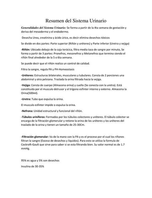 Resumen del Sistema Urinario | Ysaac Garcia | uDocz