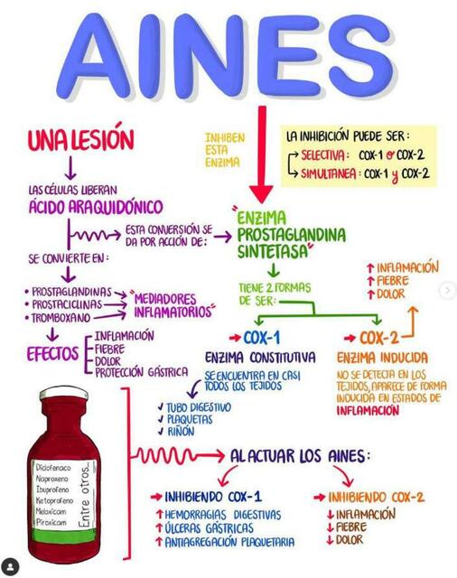 AINES | YUDOC.ORG | uDocz