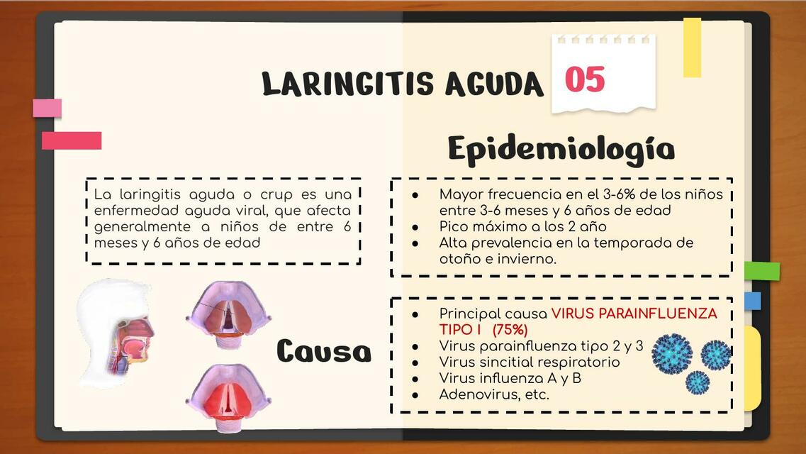 LARINGITIS AGUDA | Lupita | uDocz