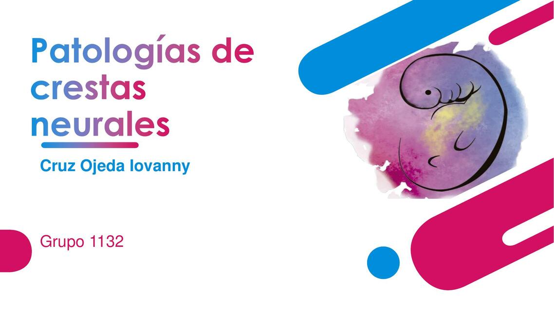 Patologías de crestas neurales | IOVANNY CRUZ OJEDA | uDocz