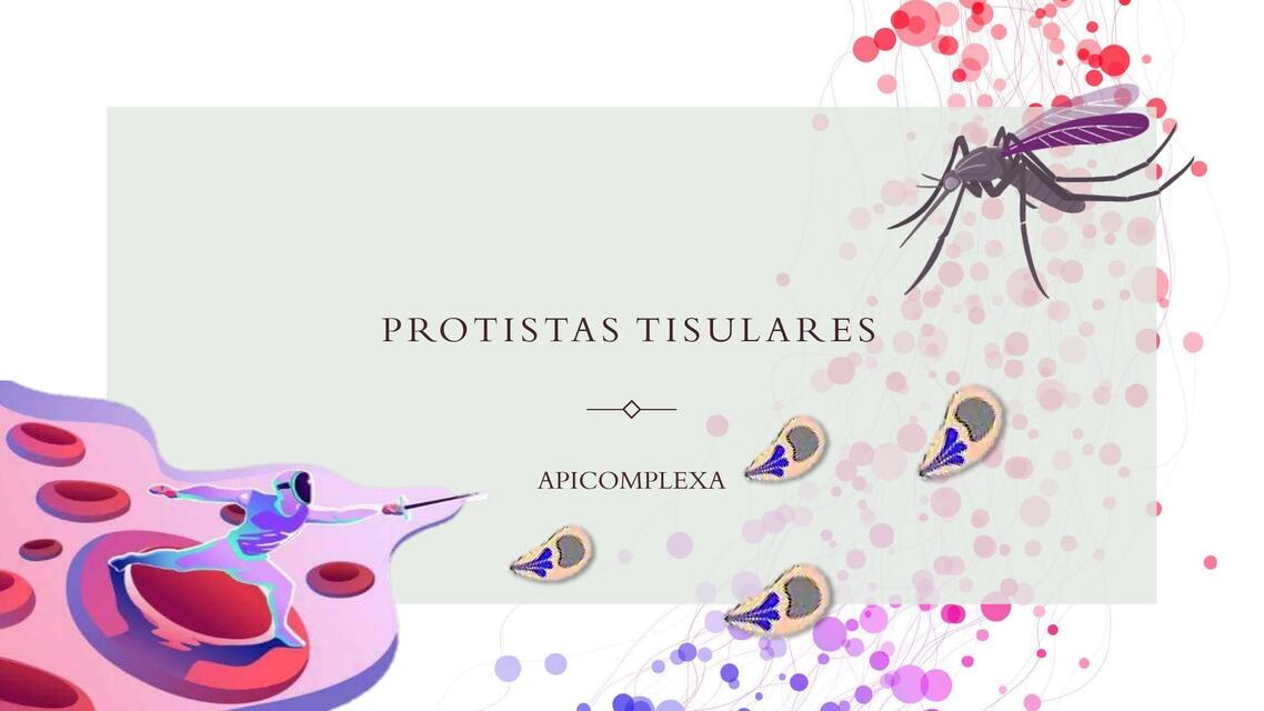 Protistas Tisulares | IOVANNY CRUZ OJEDA | uDocz