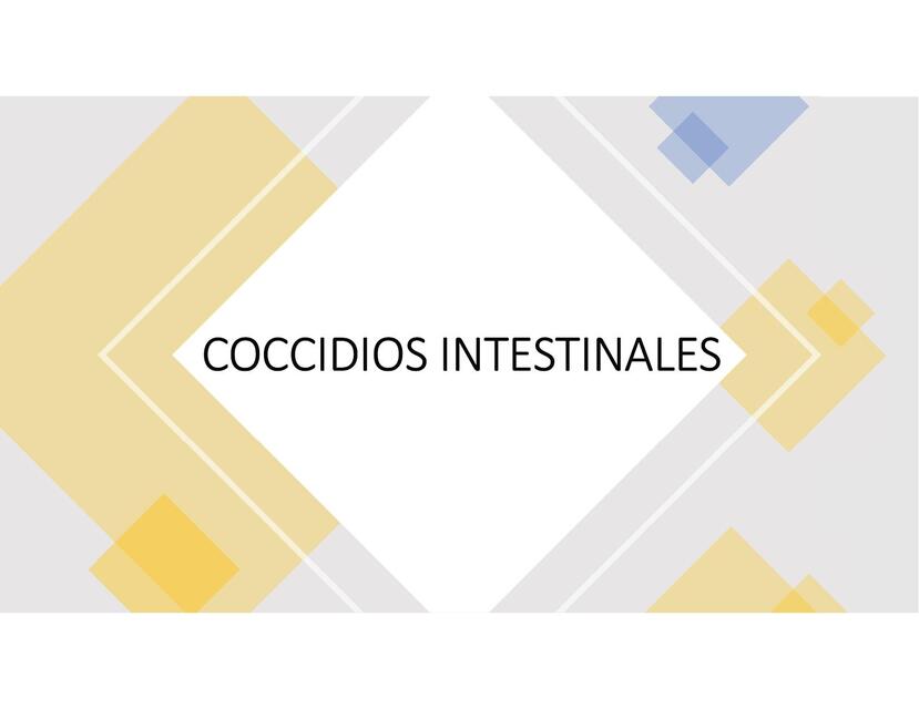 Coccidios intestinales | IOVANNY CRUZ OJEDA | uDocz
