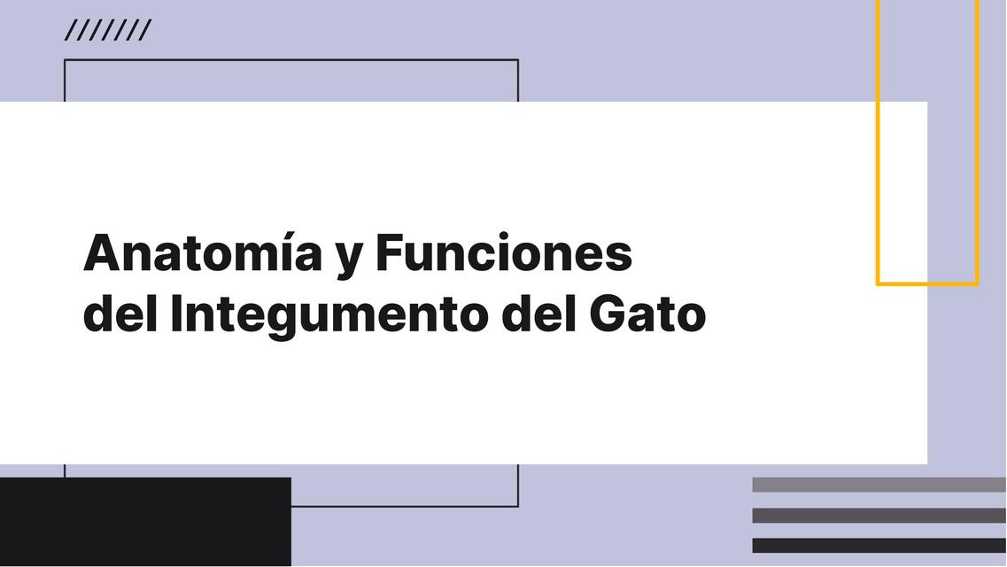 Anatomía y Funciones del Integumento del gato | Veterinaria global | uDocz
