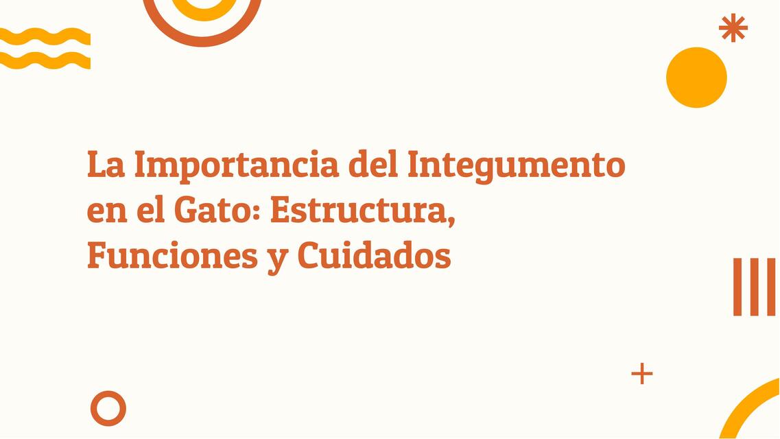 Resúmenes de piel de gato | Descarga apuntes de piel de gato