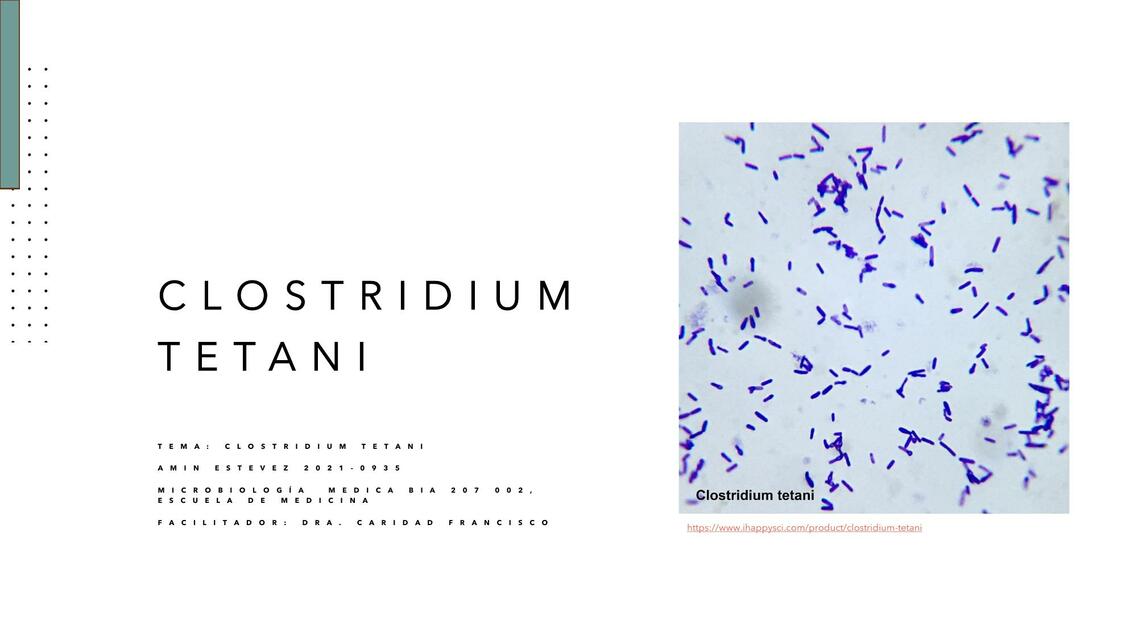 Clostridium Tetani | Amin Estevez | uDocz