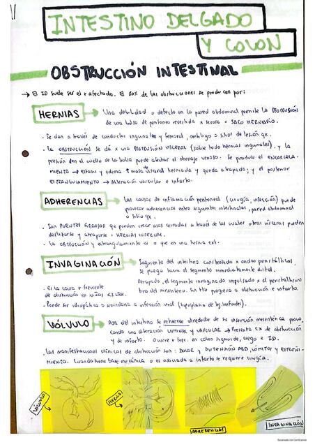 Patologías de Intestino delgado y Colon. (Parte 1) | Jesi Castro | uDocz