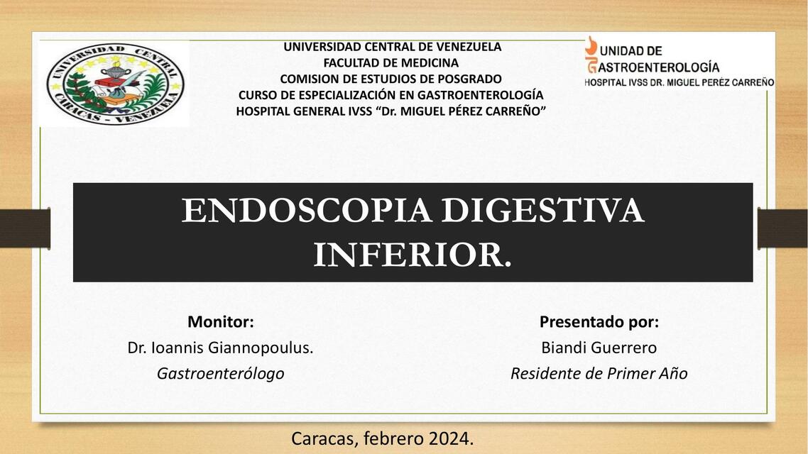 Endoscopia digestiva inferior | Cibelis GN | uDocz
