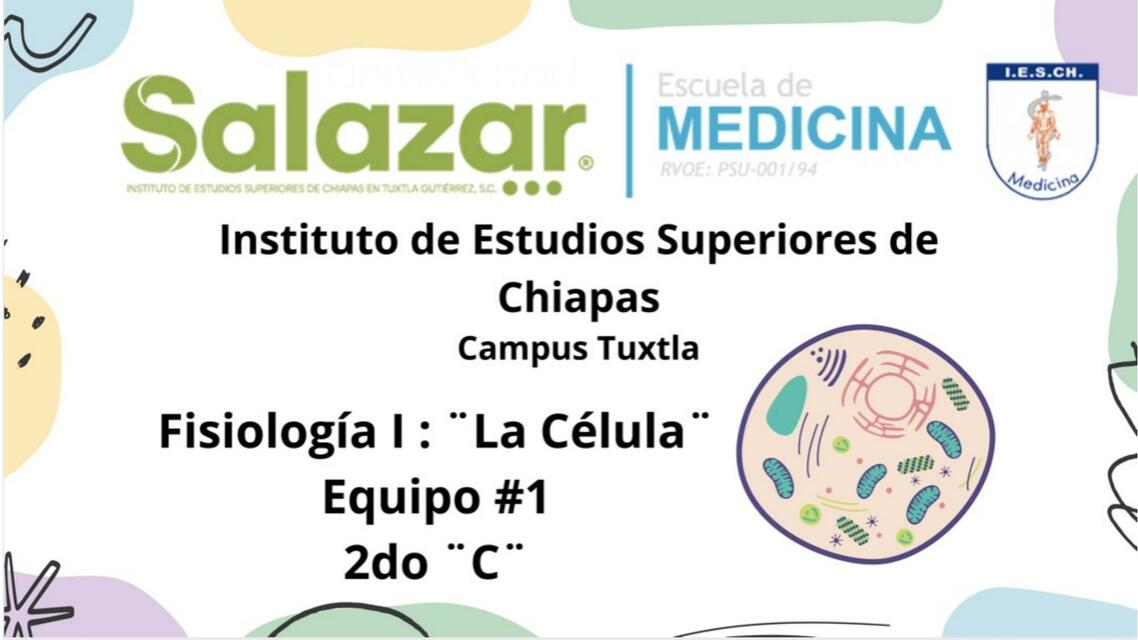 La Célula | Adalys Montesinos Maza | uDocz