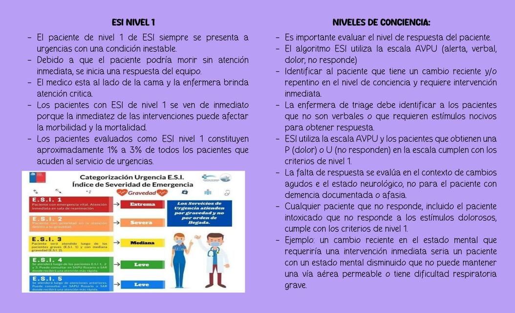 ESI Nivel 1 | Dani | uDocz