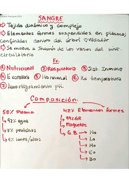 Sangre y eritrocitos | Noelia | uDocz