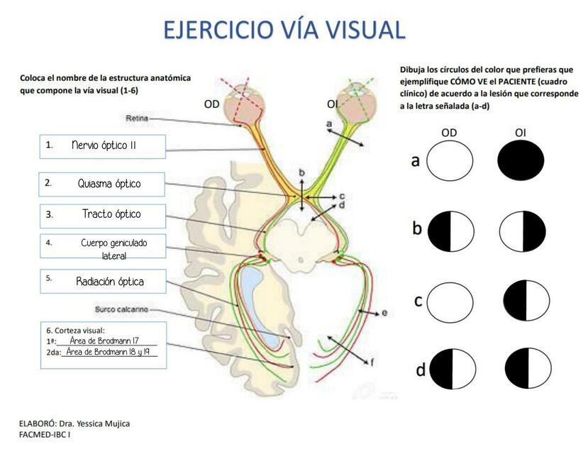 Ejercicio vía visual | Jessy González | uDocz