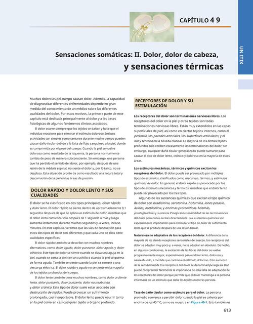 Flashcards de Sensaciones Somáticas II: Dolor, Dolor de Cabeza y Sensaciones Térmicas | Por ...