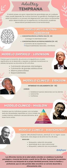 La adultez temprana - infografía | DAFNE LOPEZ | uDocz